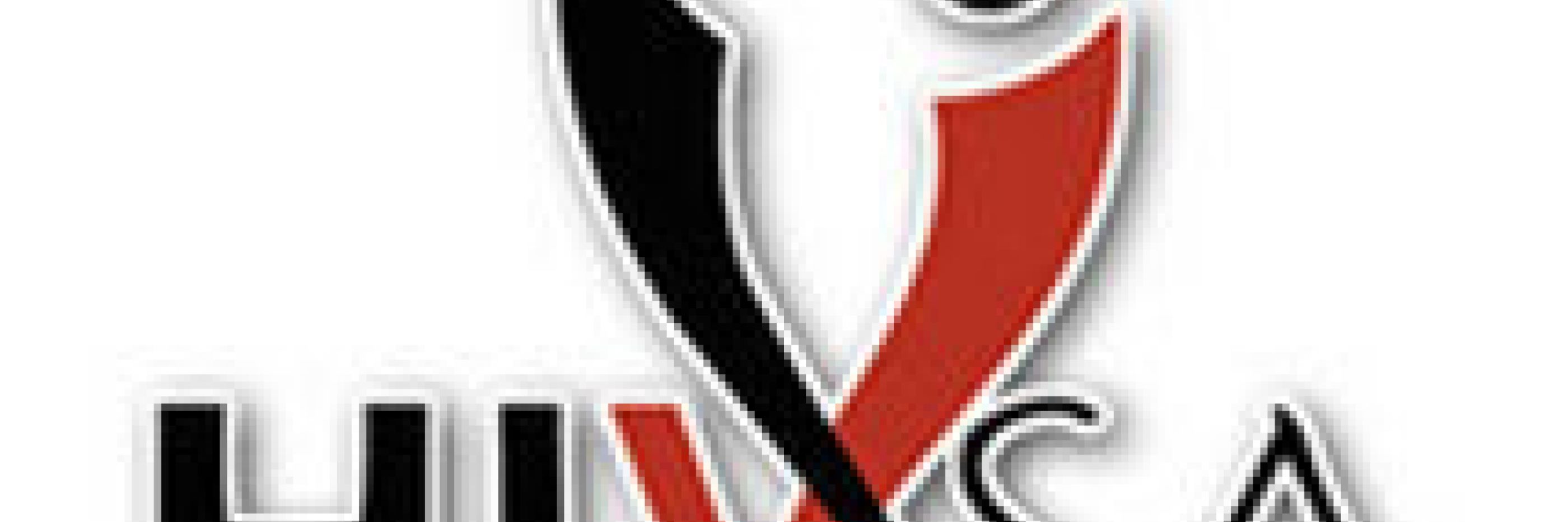 Flow redesigns the HIVSA website