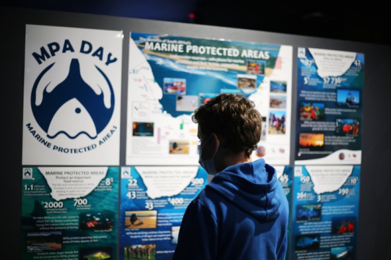 Home – Flow Communications